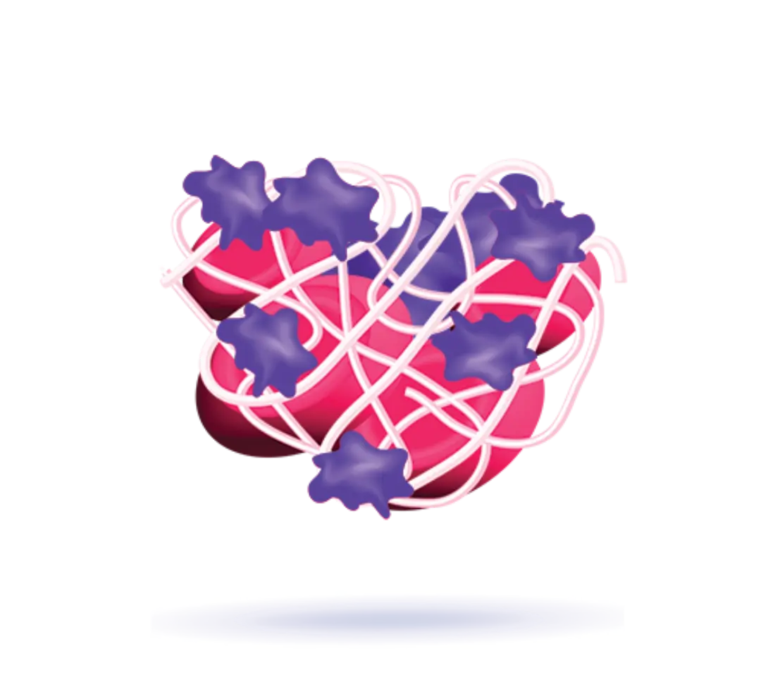 Factor VIII Deficiency and Activity Levels in Hemophilia A