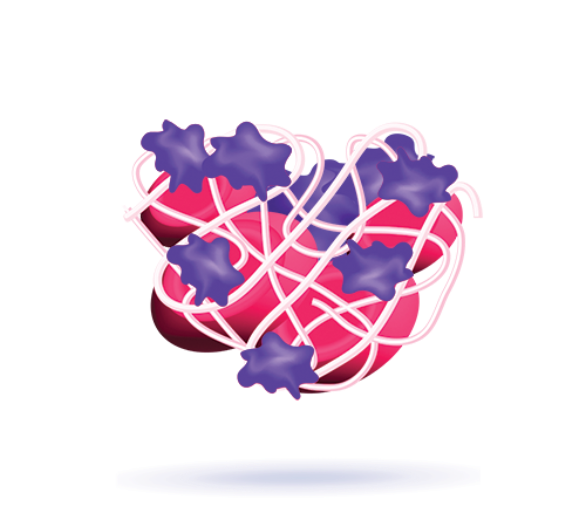 Factor VIII Deficiency and Activity Levels in Hemophilia A